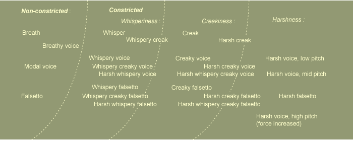 Descriptive phonetic labels for voice quality settings